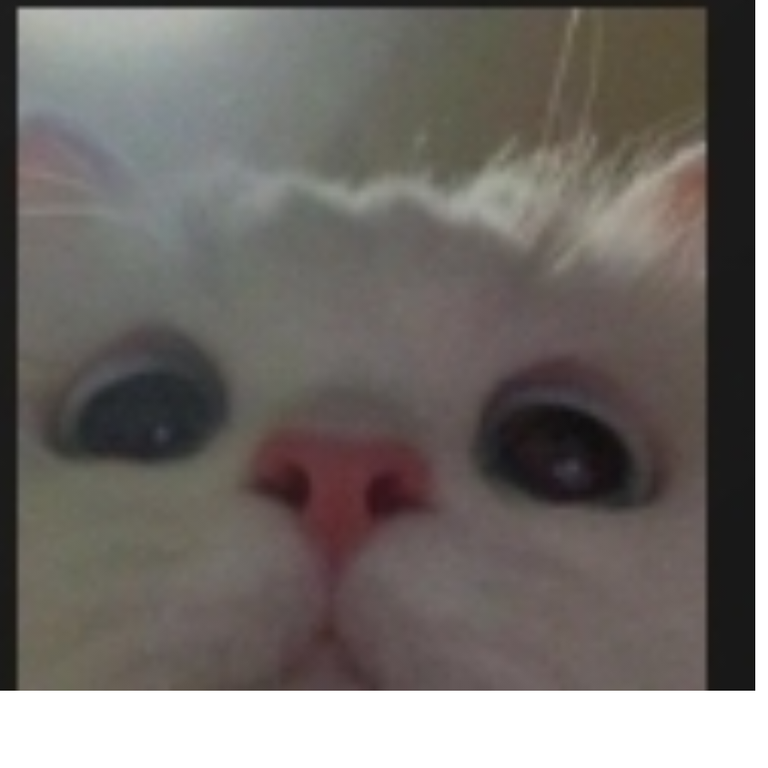 SPORE Latest Version for Android/iOS APK - TapTap