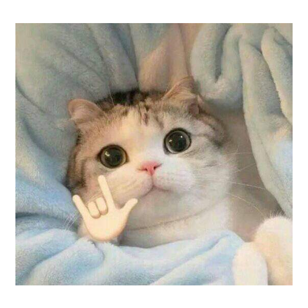 Overcooked! 2 Latest Version for Android/iOS APK - TapTap