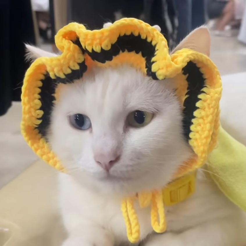 Overcooked! 2 Latest Version for Android/iOS APK - TapTap