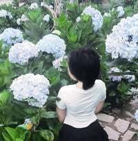 Tiny Glade Última Versão para Android/iOS APK - TapTap